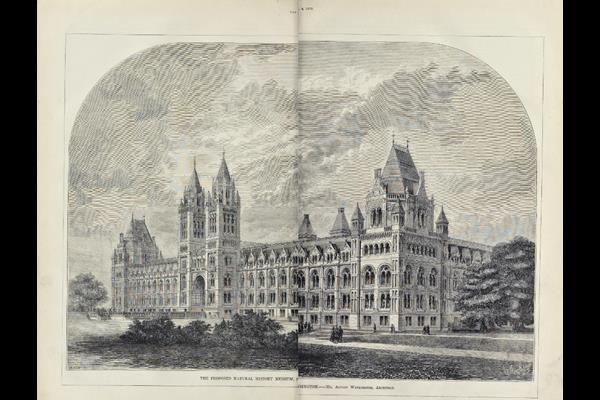 From the archives: Dodging falling bricks at the Natural History Museum ...